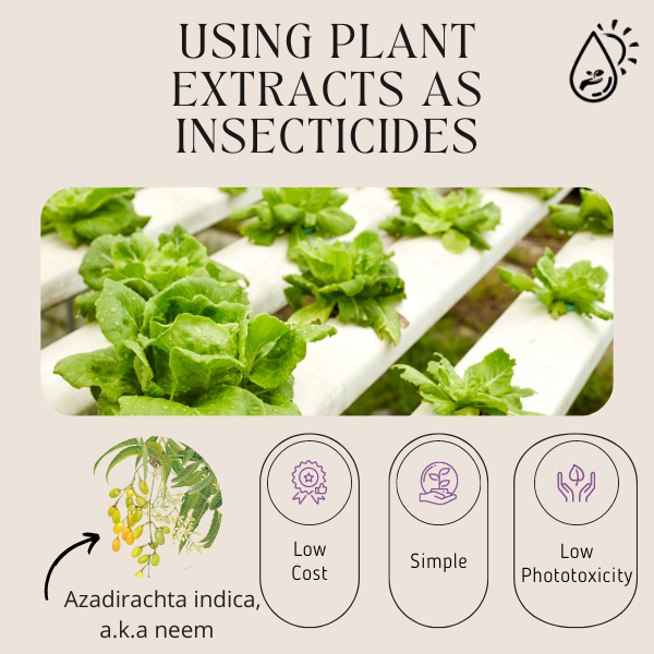 Plant Extracts as Insecticides | Regen Aquaculture