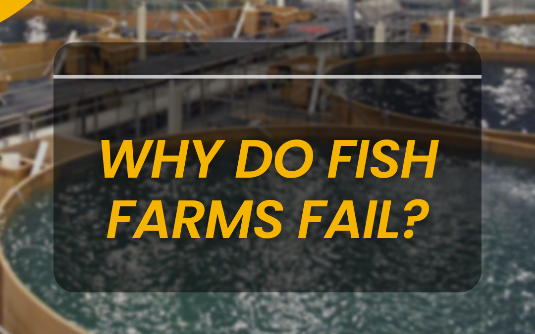 Why Do Most Fish Farms Fail? | Regen Aquaculture